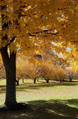 HURD PARK - 52 Photos - W Blackwell St & Park Heights Ave, Dover, New ...