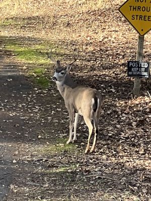 49ER RV RANCH - Updated October 2025 - 44 Photos & 58 Reviews - 23223 ...