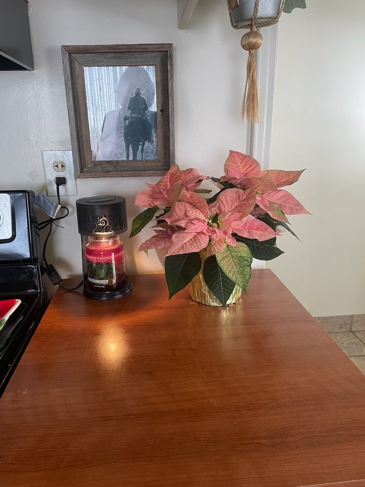 THE FLOWER SHOP - LOGAN - Updated June 2026 - 19 Photos & 26 Reviews ...