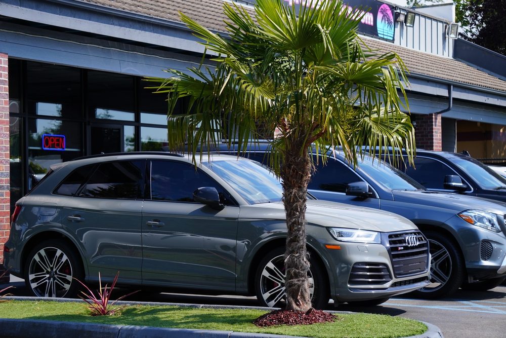 SUPREME MOTORS - Updated October 2025 - 61 Photos & 54 Reviews - 4418 ...