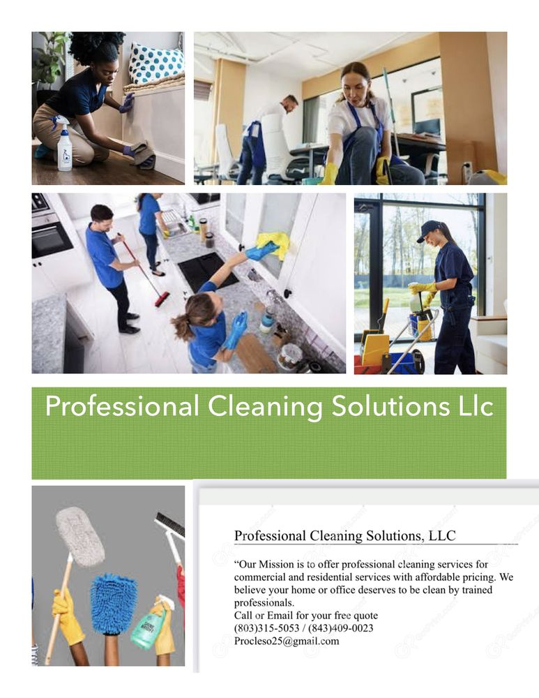 PROFESSIONAL CLEANING SOLUTIONS - Updated March 2025 - Effingham, South ...