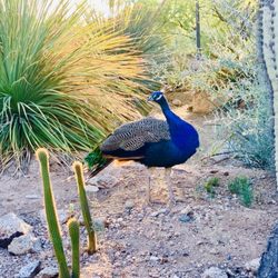 GLENDALE PUBLIC LIBRARY - 65 Photos & 13 Reviews - Libraries - 5959 ...