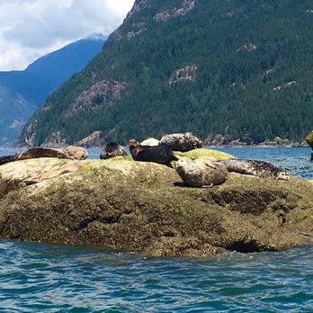 SEWELL’S MARINA - Updated December 2025 - 73 Photos & 33 Reviews - 6409 ...