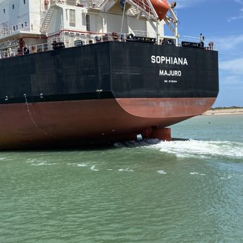 THE ORIGINAL DOLPHIN WATCH - Updated April 2025 - 220 Photos & 167 ...