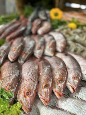 JJ FISH MARKET - 21 Photos - 1215 Sutter Ave, Brooklyn, NY - Yelp