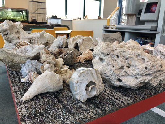 SCIENCE CENTRAL - 39 Photos & 16 Reviews - 1950 N Clinton St, Fort ...