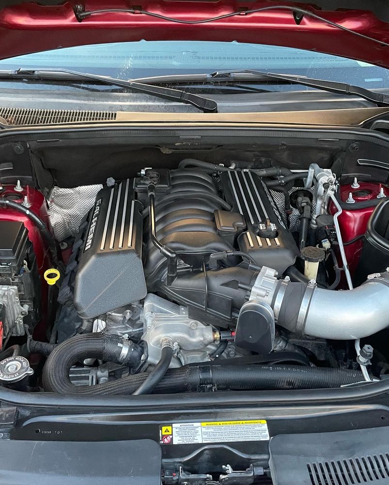 DOUBLE DOG DETAILING - Updated October 2025 - 75 Photos - Equine Ct, Cimarron Hills, Colorado ...