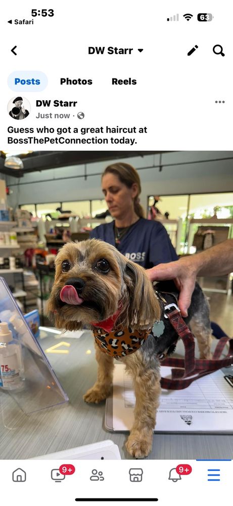 BOSS THE PET CONNECTION - Updated December 2025 - 128 Photos & 43 ...