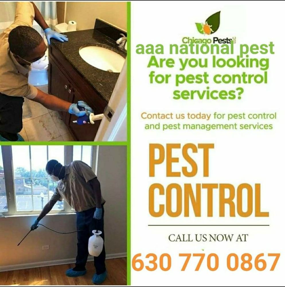 AAA NATIONAL PEST CONTROL - Updated August 2025 - 179 Photos & 87 ...