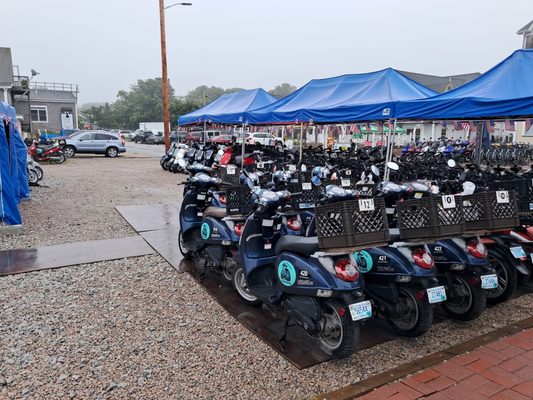 ISLAND MOPED AND BIKES - Updated July 2025 - 78 Photos & 84 Reviews ...