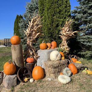 EMSLEY FARM - 2731 Northview Rd, Waukesha, Wisconsin - Pumpkin Patches ...