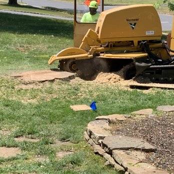 TREEMASTERS - Updated January 2026 - 29 Photos & 26 Reviews - 549 ...