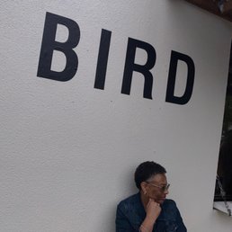 BIRD PIZZERIA - Updated December 2024 - 137 Photos & 100 Reviews - 510 ...