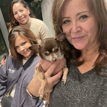 LIRA GUZI SALON - 681 Photos & 104 Reviews - 472 W Erie St, Chicago ...