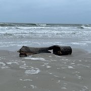 WHITECAP BEACH - 111 Photos & 30 Reviews - Beaches - 14618 S Padre ...