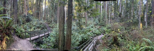 REDWOOD PARK - Updated January 2025 - 53 Photos & 27 Reviews - East ...