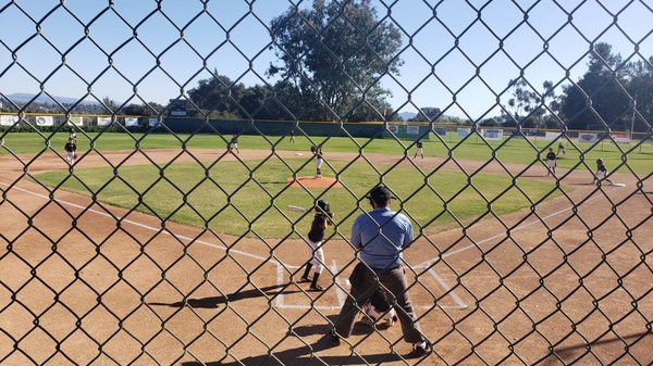 INGOLD SPORTS PARK - Updated November 2025 - 19 Photos - 2551 Olive ...