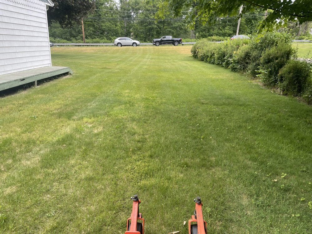 ALEX LANDSCAPING SERVICES - Updated July 2025 - New Haven, Connecticut ...