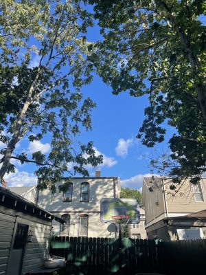 FRIENDLY TREE SERVICE - Updated December 2025 - 28 Photos & 184 Reviews ...