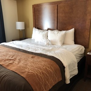 HAMPTON INN BRATTLEBORO - 87 Photos & 37 Reviews - 1378 Putney Rd ...