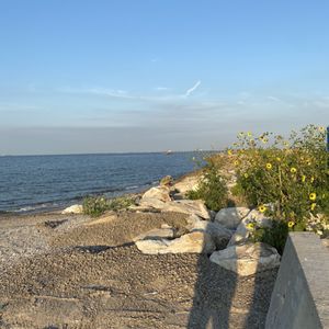 THE TEXAS CITY DIKE - 106 Photos & 39 Reviews - 1 Texas City Dike Rd ...