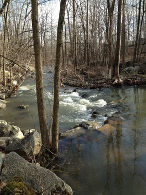 WATCHTOWER FARMS - Updated December 2025 - 24 Photos - 900 Red Mills Rd ...