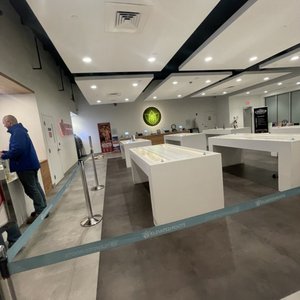 ELEVATED ROOTS - HALIFAX - Updated April 2025 - 319 Monponsett St ...