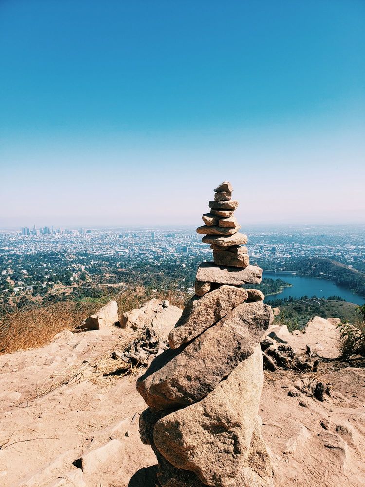 WISDOM TREE - Updated July 2024 - 170 Photos & 29 Reviews - 4730 ...