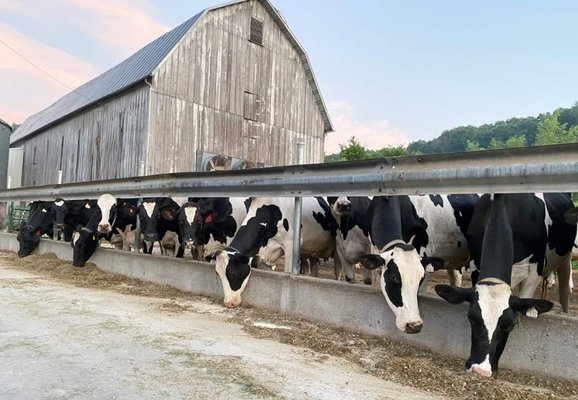 WESTBY COOPERATIVE CREAMERY - Updated May 2026 - 16 Photos - 206 S Main ...