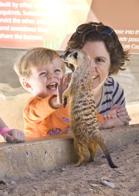 CHEHAW PARK - Updated September 2025 - 75 Photos & 28 Reviews - 105 ...