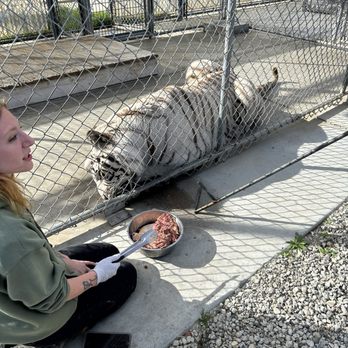 VISION QUEST RANCH - Updated November 2025 - 827 Photos & 320 Reviews ...