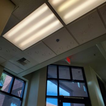 HEARTS ALIVE VILLAGE ANIMAL CLINIC - Updated June 2025 - 32 Photos & 72 ...