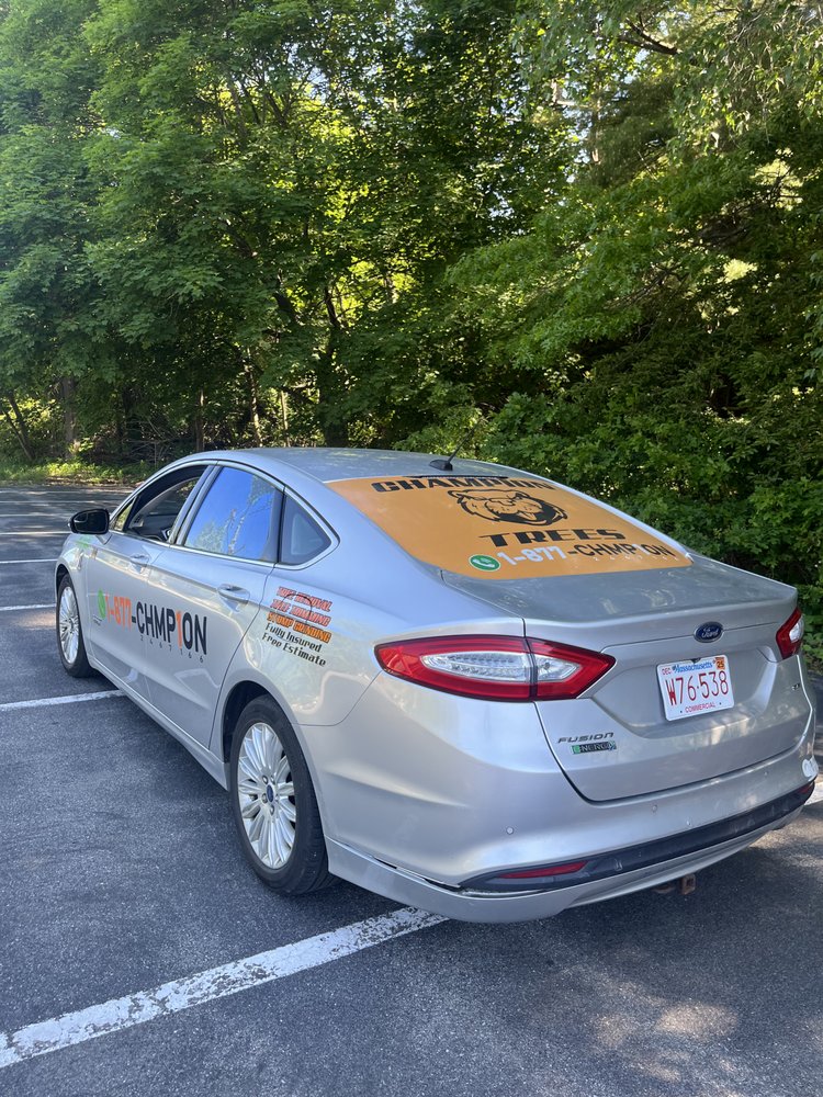 CHAMPION TREE SERVICE - Updated October 2025 - 21 Photos - Lynn ...