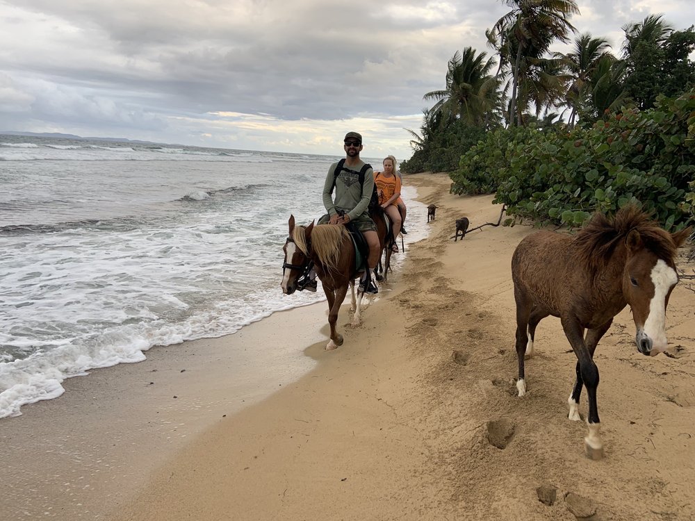 COLON HORSEBACK RIDING - 55 Photos & 15 Reviews - Isabel II Bo Bravos ...