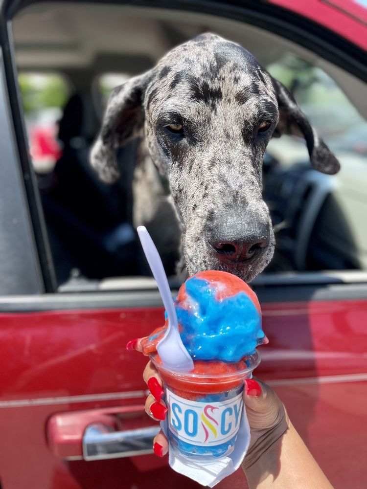 SO ICY DFW - Updated April 2025 - 51 Photos & 20 Reviews - 423 ...