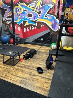 ABSOLUTE POWER FITNESS - Updated October 2025 - 40 Photos & 182 Reviews ...