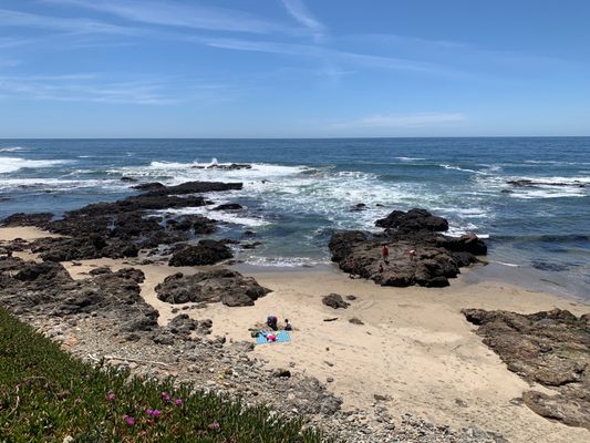 COWELL RANCH BEACH - 563 Photos & 77 Reviews - Hwy 1, Half Moon Bay, CA ...