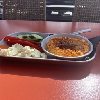 SUBURBAN YACHT CLUB - Updated June 2024 - 597 Photos & 307 Reviews ...