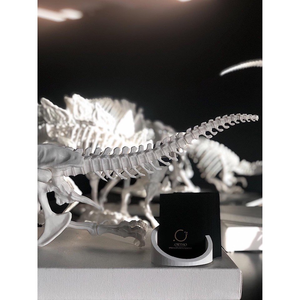 .ORTHO - Updated February 2025 - 12 St Marks Road, Auckland, New ...