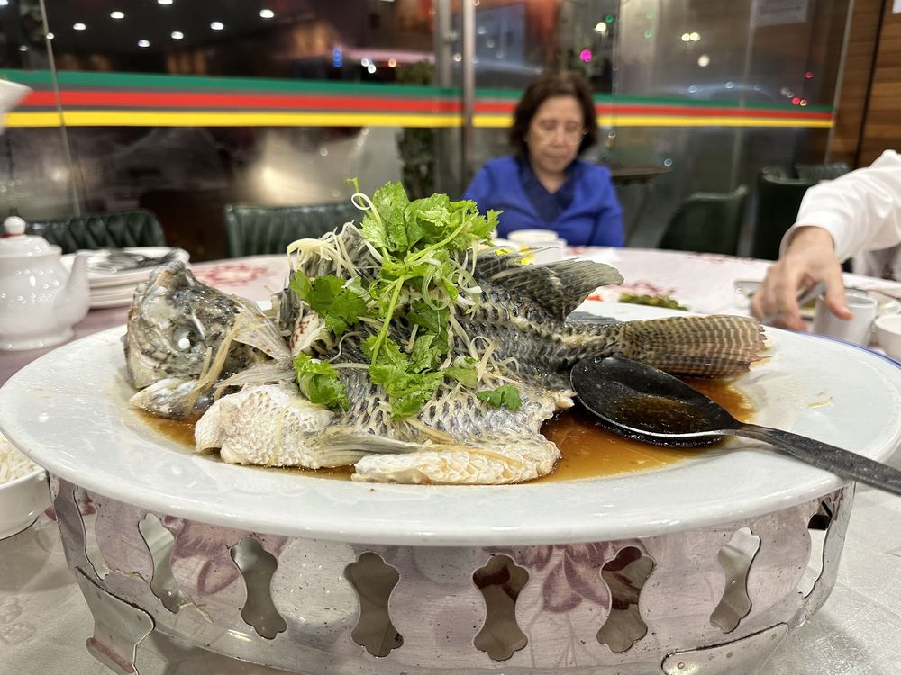 RESTORAN GREEN VIEW - Updated May 2026 - 69 Photos - 6;;8, Jalan 19/3 ...
