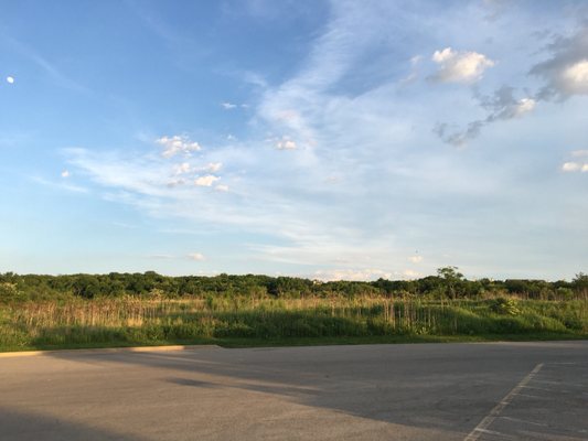 WHALON LAKE - 39 Photos & 13 Reviews - Lakes - Royce Rd And Lisson Rd ...