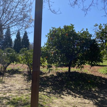 FLOWER FARM CAFE - Updated December 2025 - 315 Photos & 291 Reviews ...