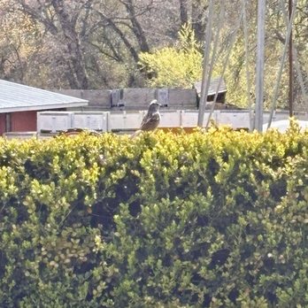 COVER’S APPLE RANCH - Updated October 2025 - 220 Photos & 299 Reviews ...