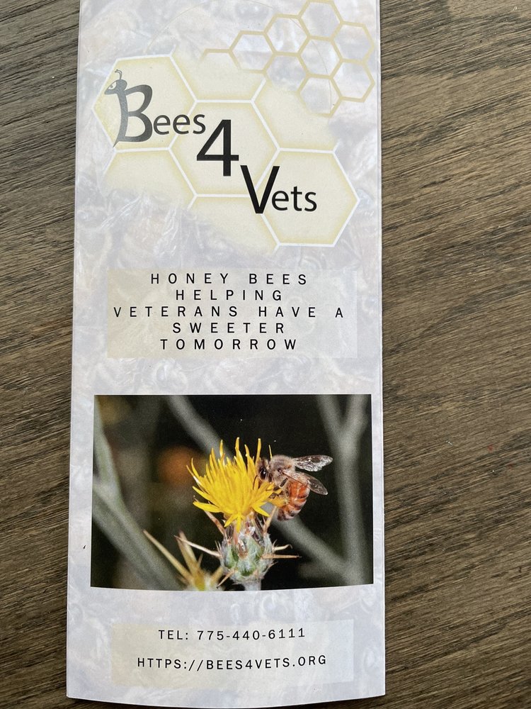 ELITE EXPERIENCE: RENO AIR RACES - Updated January 2025 - 174 Photos ...