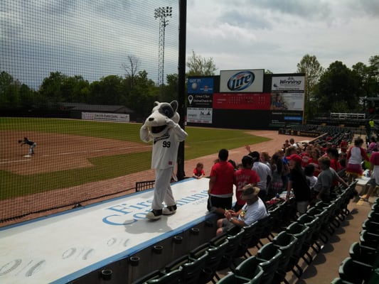 CARSHIELD FIELD - Updated December 2024 - 23 Photos & 11 Reviews - 900 ...