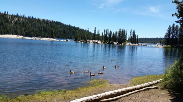SILVER VALLEY CAMPGROUND - Updated October 2025 - Arnold, California ...