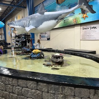 THAT FISH PLACE - THAT PET PLACE - Updated December 2025 - 149 Photos ...