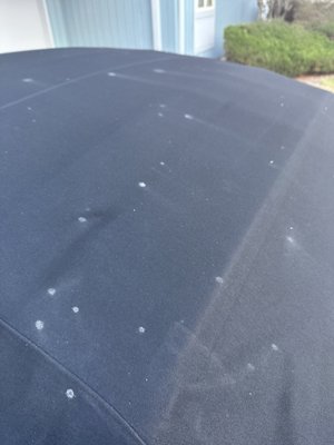 BLUE DIAMOND DISPOSAL - Updated January 2026 - 22 Photos & 22 Reviews ...