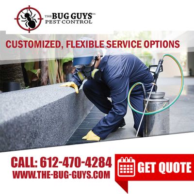 THE BUG GUYS - Updated December 2025 - 10 Photos - Spring Park ...