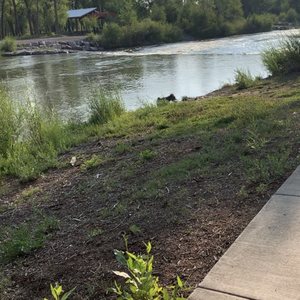 PEACOCK MEADOWS RIVERSIDE RV PARK AND CAMPGROUND - Updated July 2025 ...